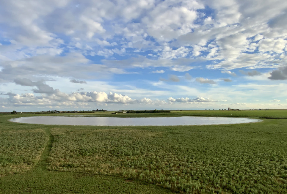 Cotton/water stewardship Playa Day to be held May 16 at Unity Center in ...