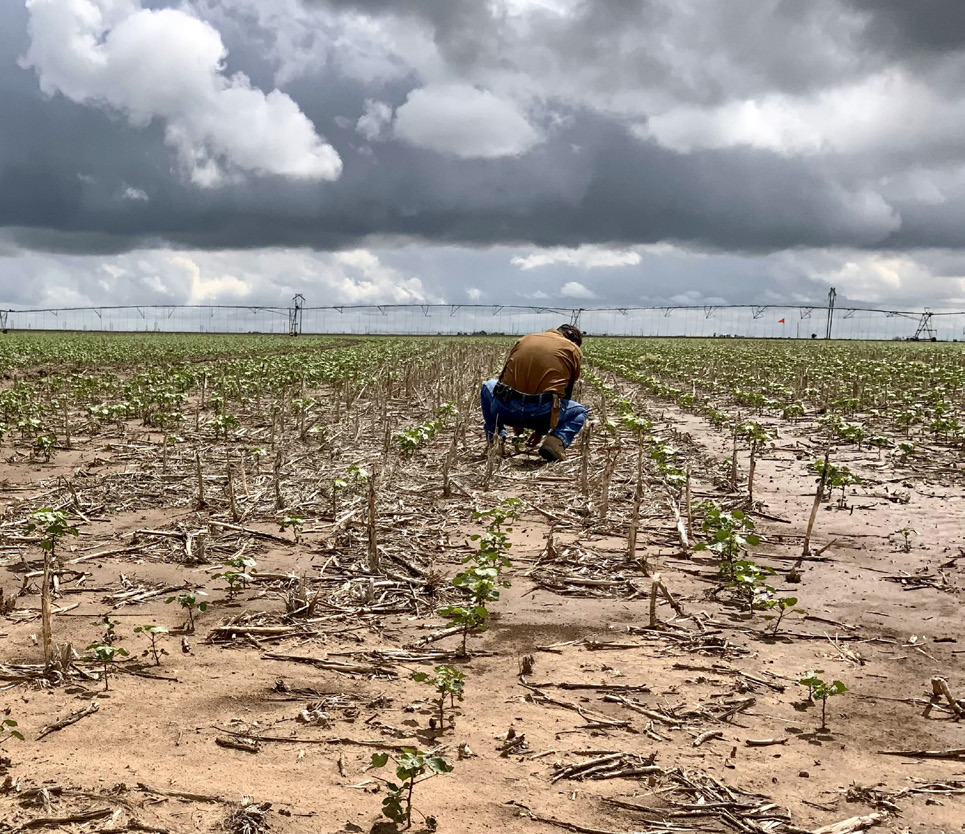 Cotton/water stewardship Playa Day to be held May 16 at Unity Center in ...