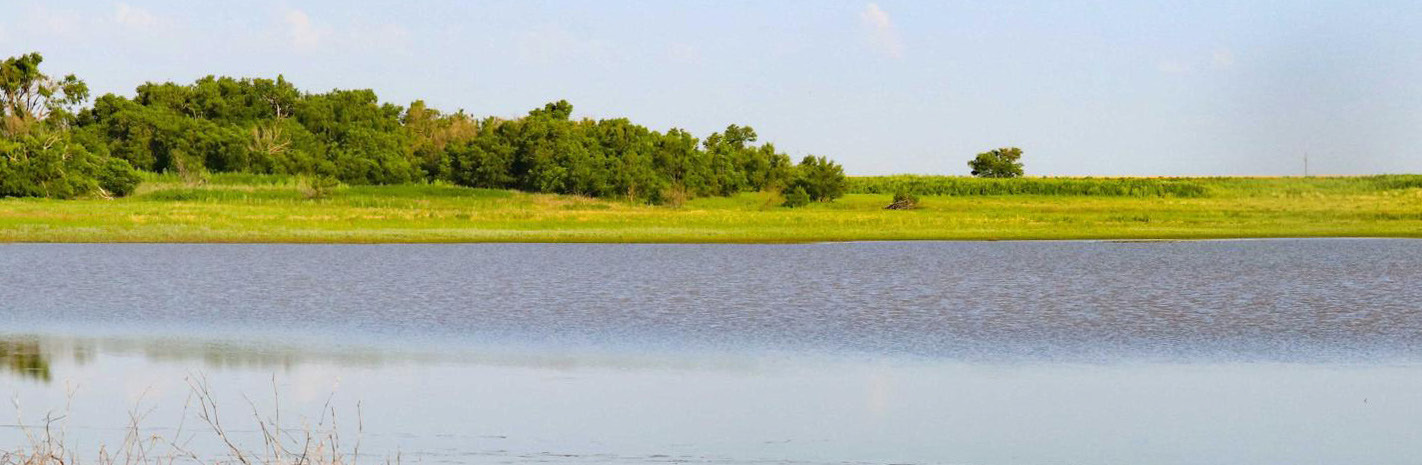 Texas Panhandle and South Plains regions receive USDA and partner ...